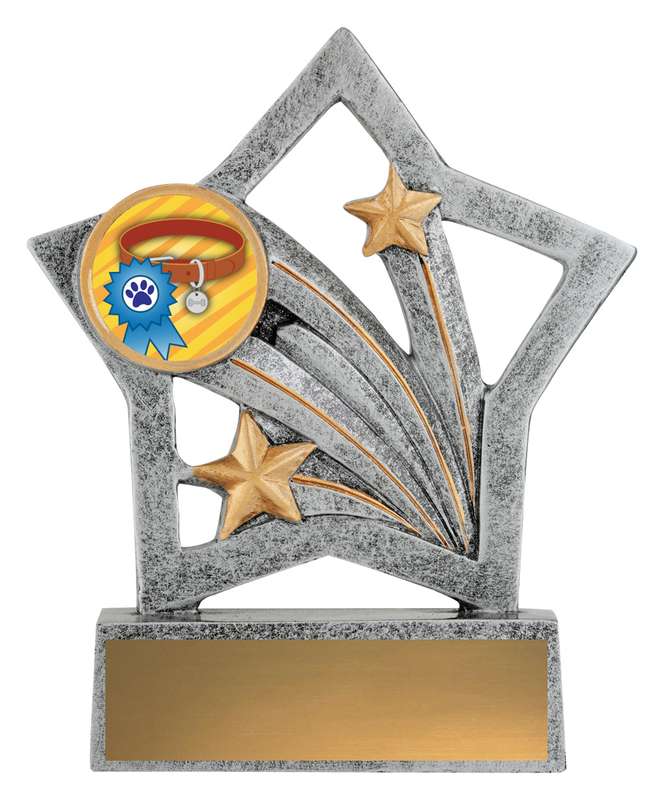 Flash - Ribbon & Collar - Purnells Awards & Apparel